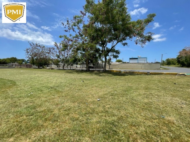 Bo. Palmas, Terreno En Cataño