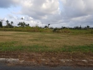 Casas en venta en Isabela o propiedades terrenos solares