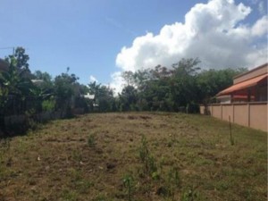 Casas en venta en Isabela o propiedades terrenos solares